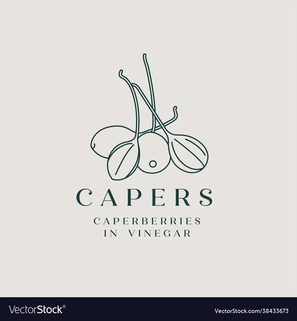 Pickled capers - simple linear Royalty Free Vector Image