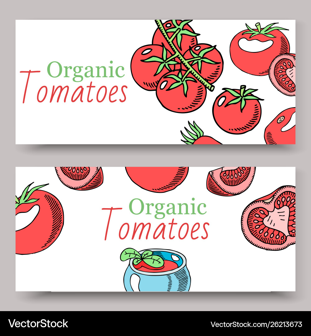 Tomatoes organic sauce background set banners Vector Image