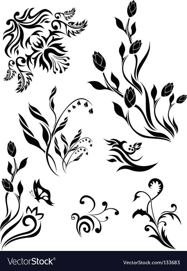 Floral elements Royalty Free Vector Image - VectorStock