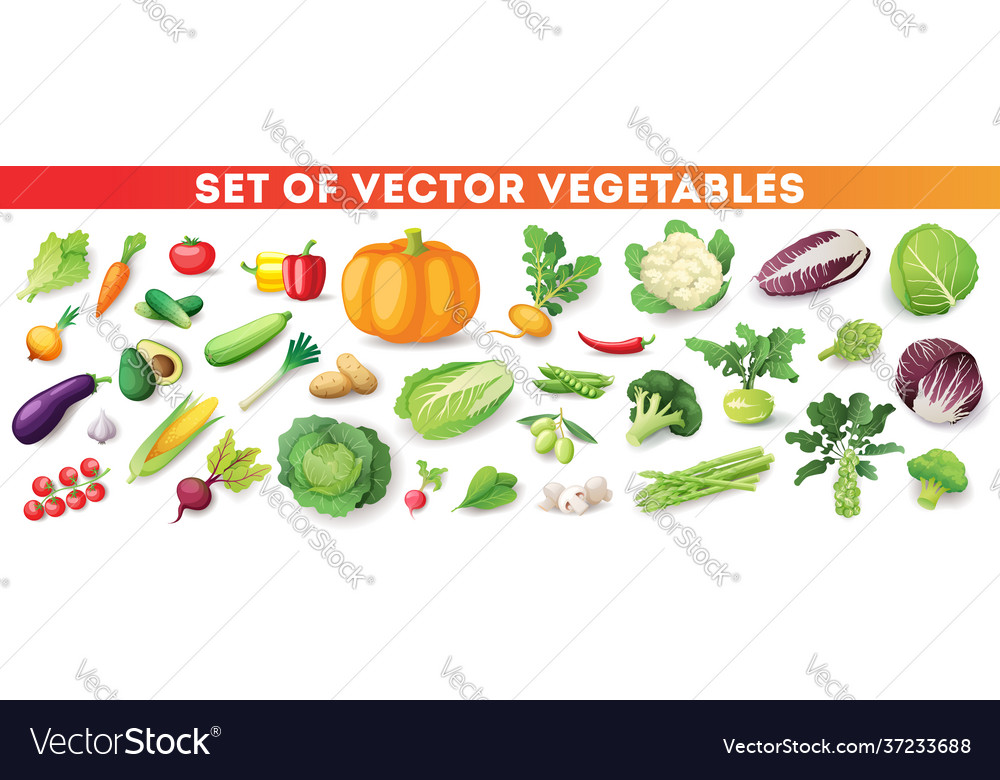 Colorful fresh vegetables set isolated organic Vector Image