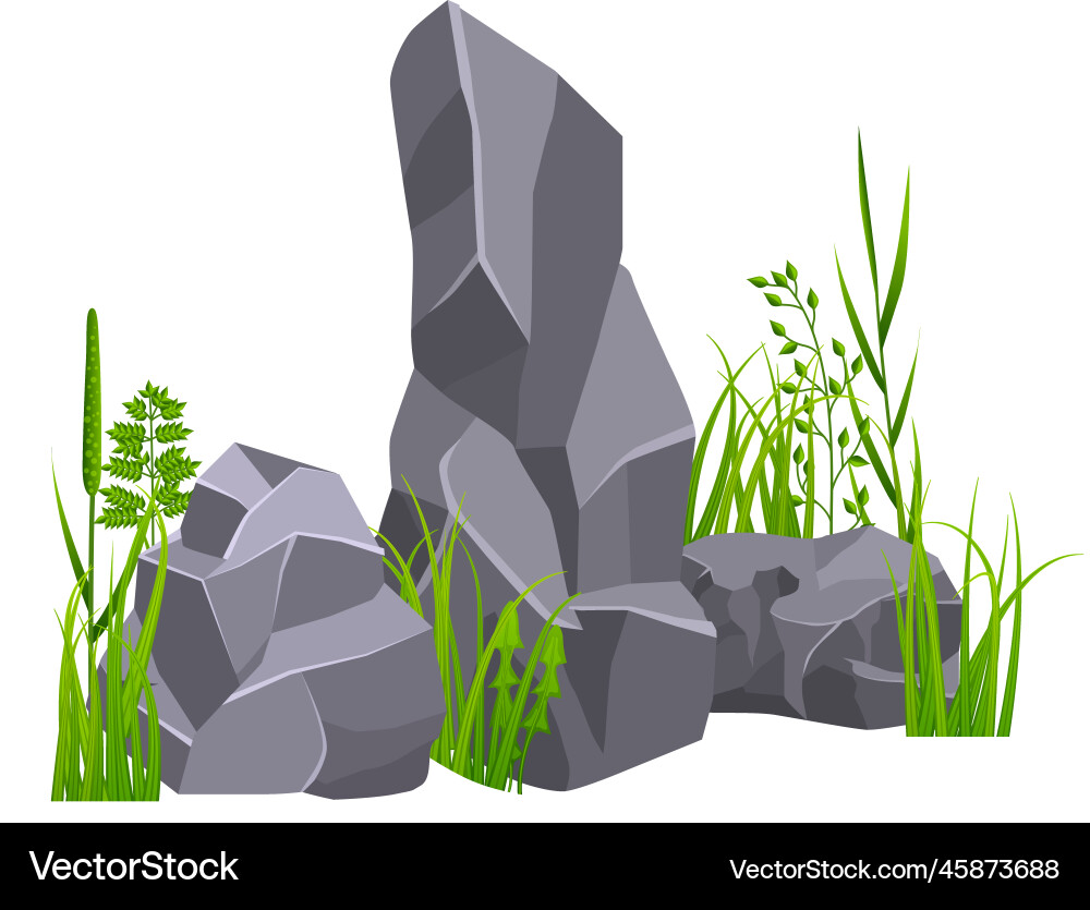 Stone in green grass gray rock landscape element Vector Image