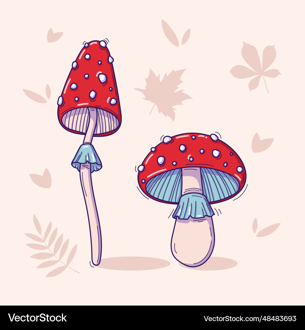 Hand drawn of two mushrooms Royalty Free Vector Image