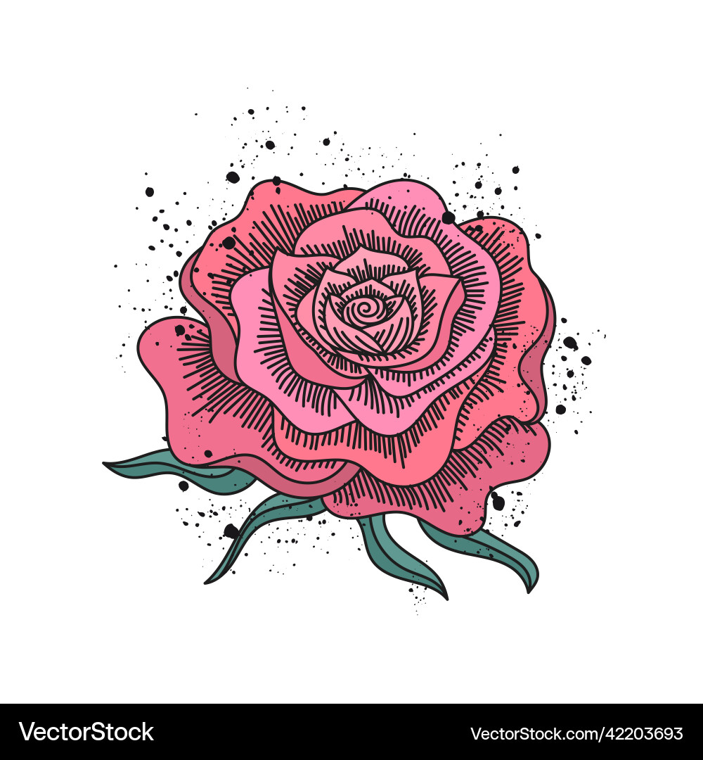 Red rose hand drawn Royalty Free Vector Image - VectorStock
