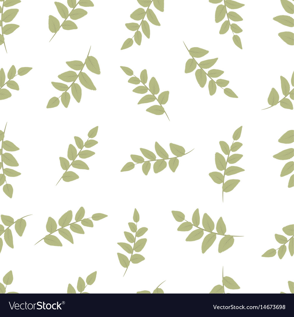 Seamless decorative template texture with green Vector Image Seamless decorative template texture with green Vector Image
