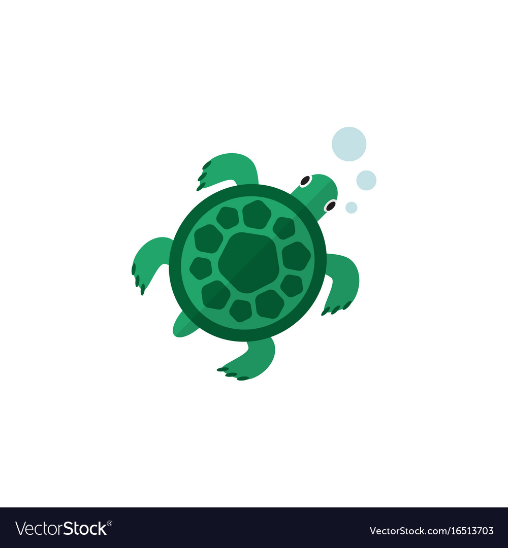 Isolated turtle flat icon tortoise element Vector Image