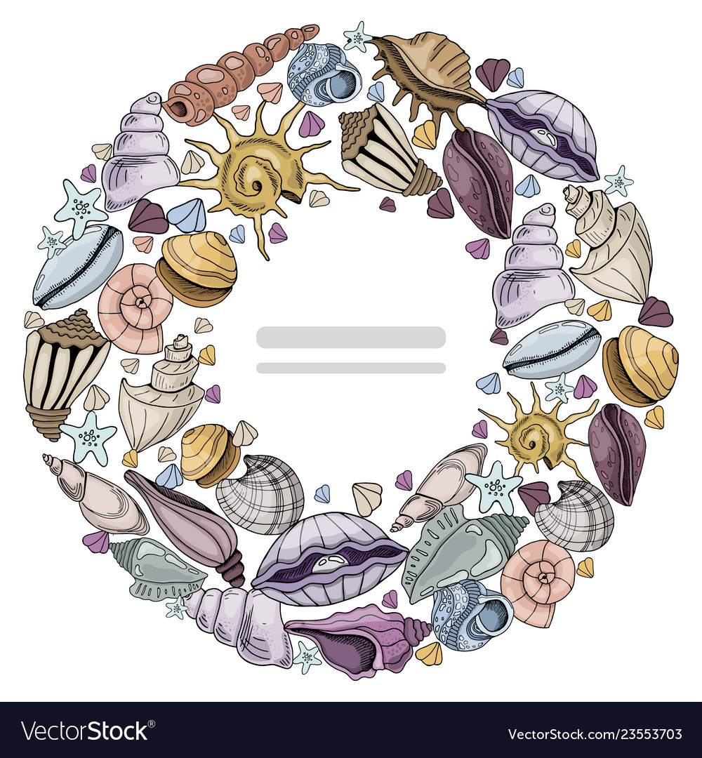 Sea shells Royalty Free Vector Image - VectorStock