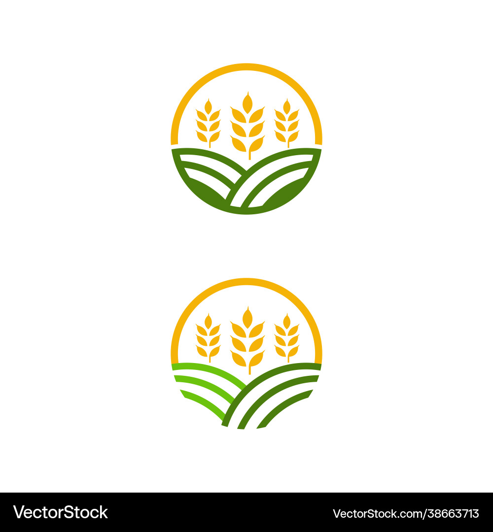 Agriculture wheat rice icon design Royalty Free Vector Image