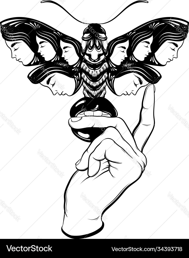 Hand drawn moth with female faces on wings Vector Image