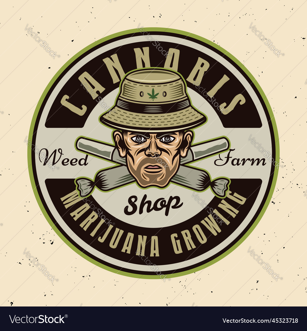 Stoner head in bucket hat and two crossed weed Vector Image