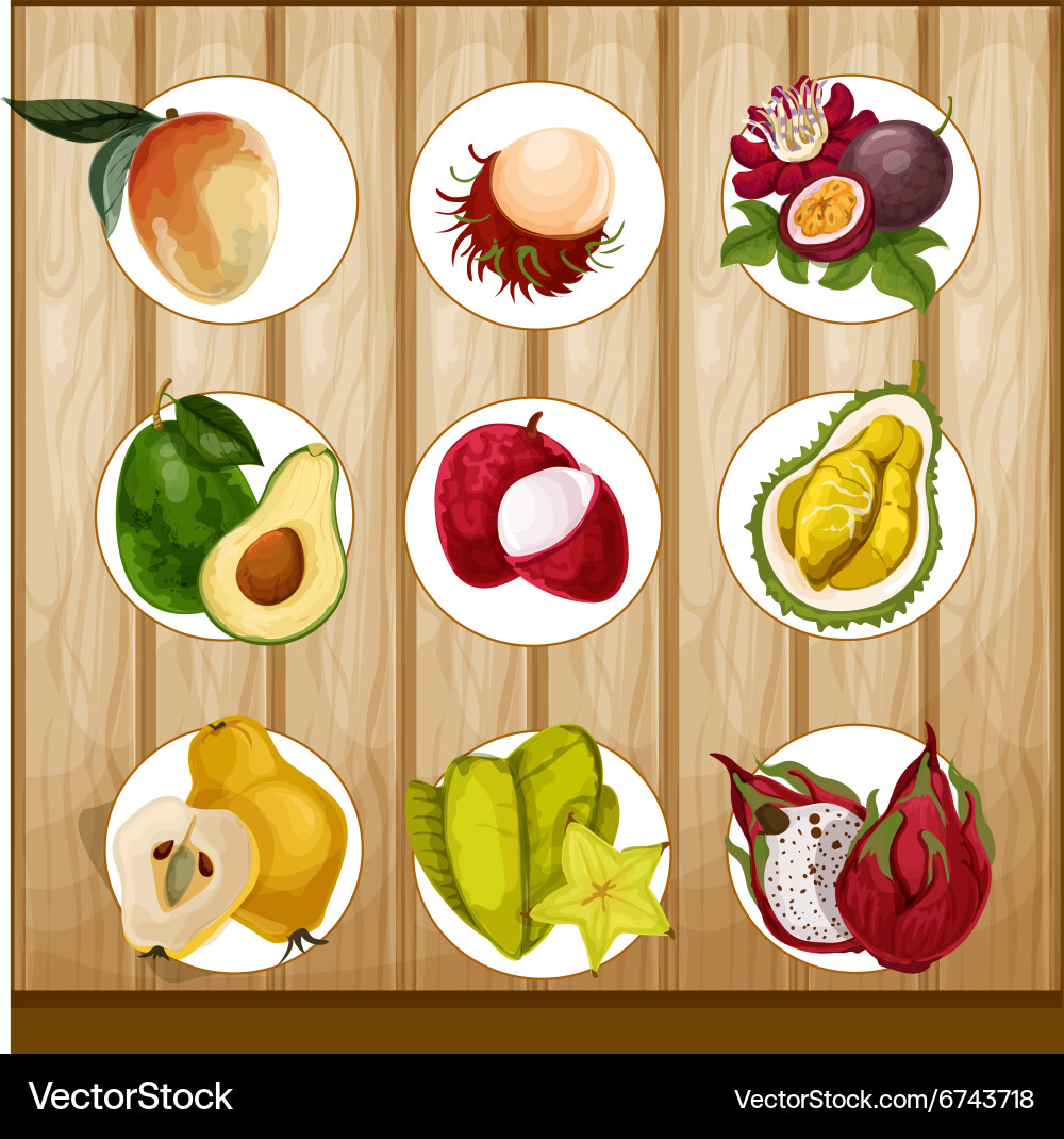 Tropical fruit set Royalty Free Vector Image - VectorStock