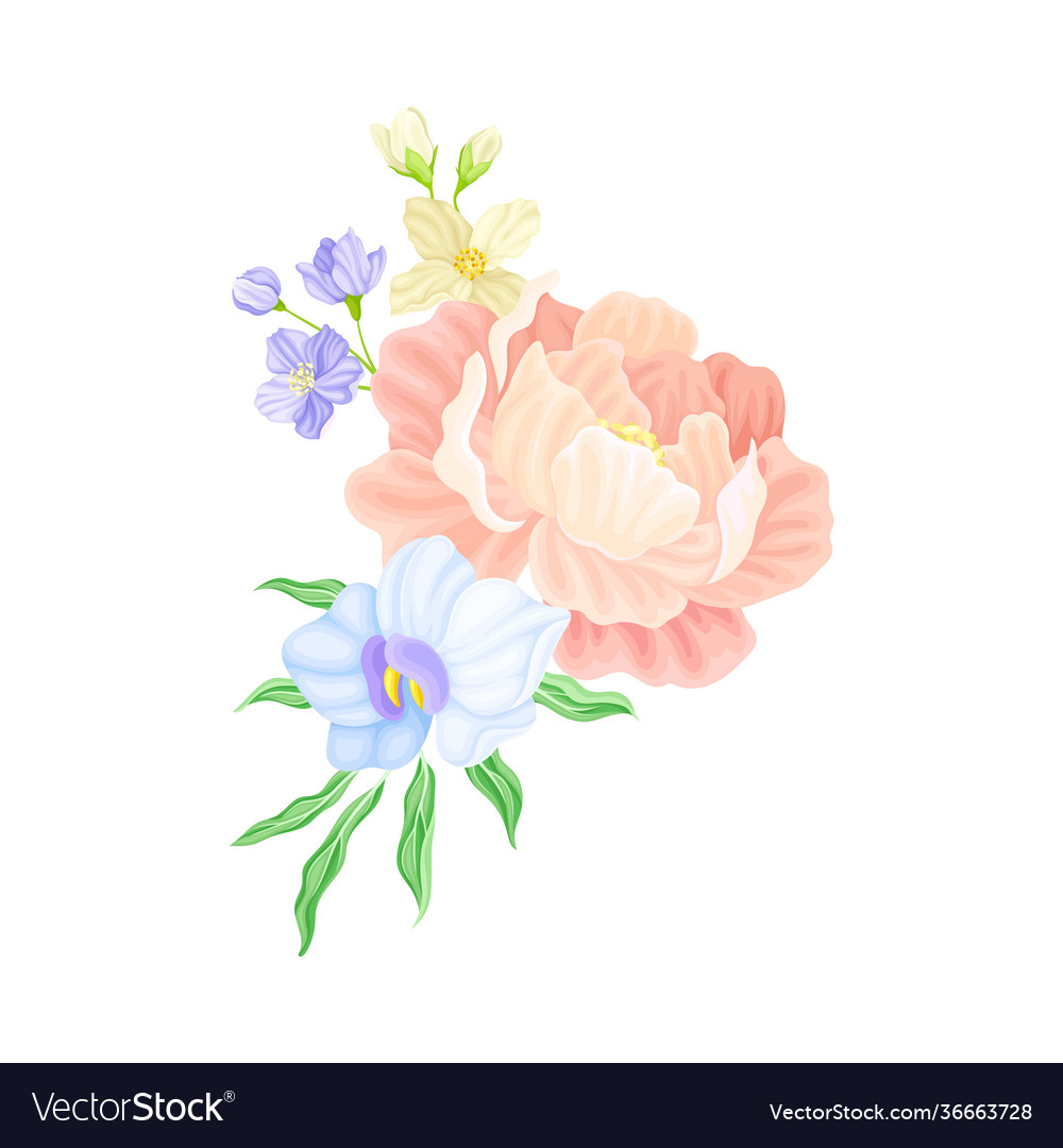 Floral bouquet peony and garden flowers Royalty Free Vector