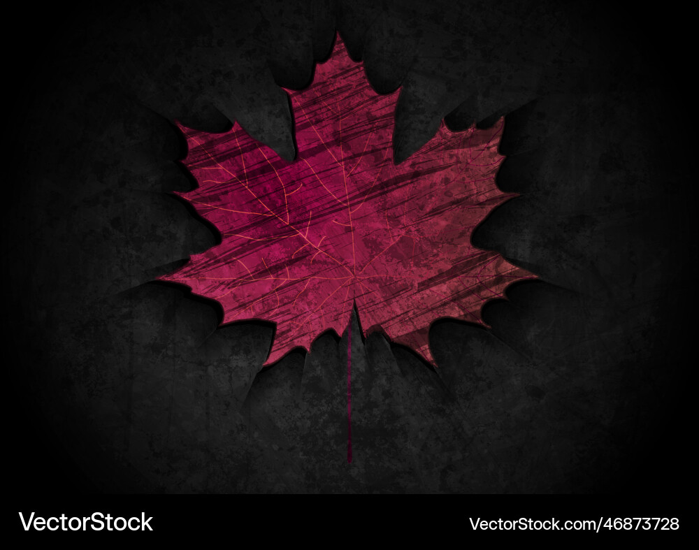 Maroon red grunge maple leaf abstract background Vector Image