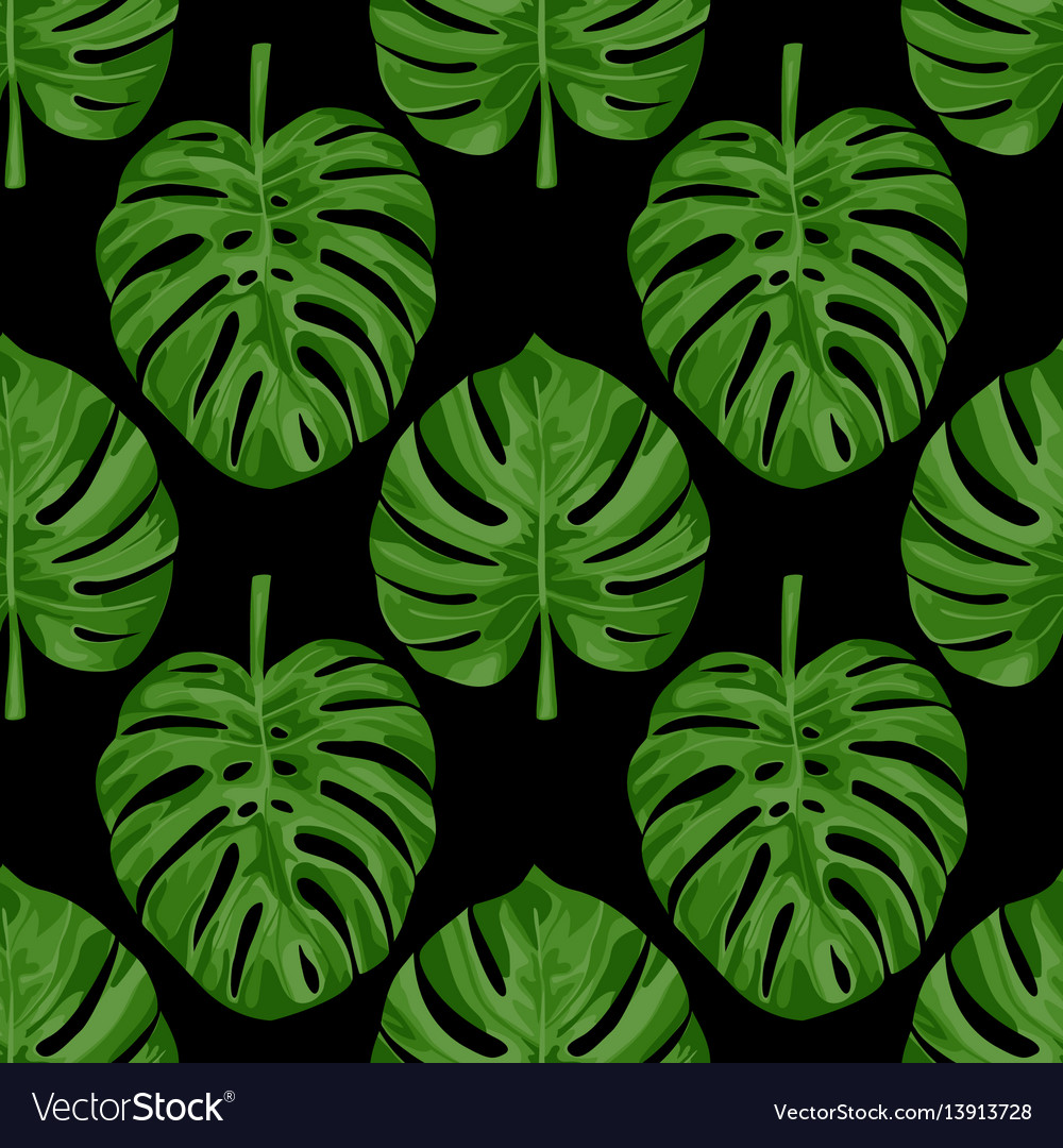 Monstera seamless pattern Royalty Free Vector Image
