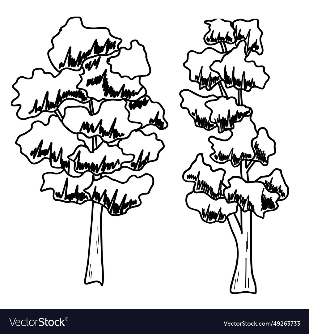 Forest tree line set of graphics trees elements Vector Image