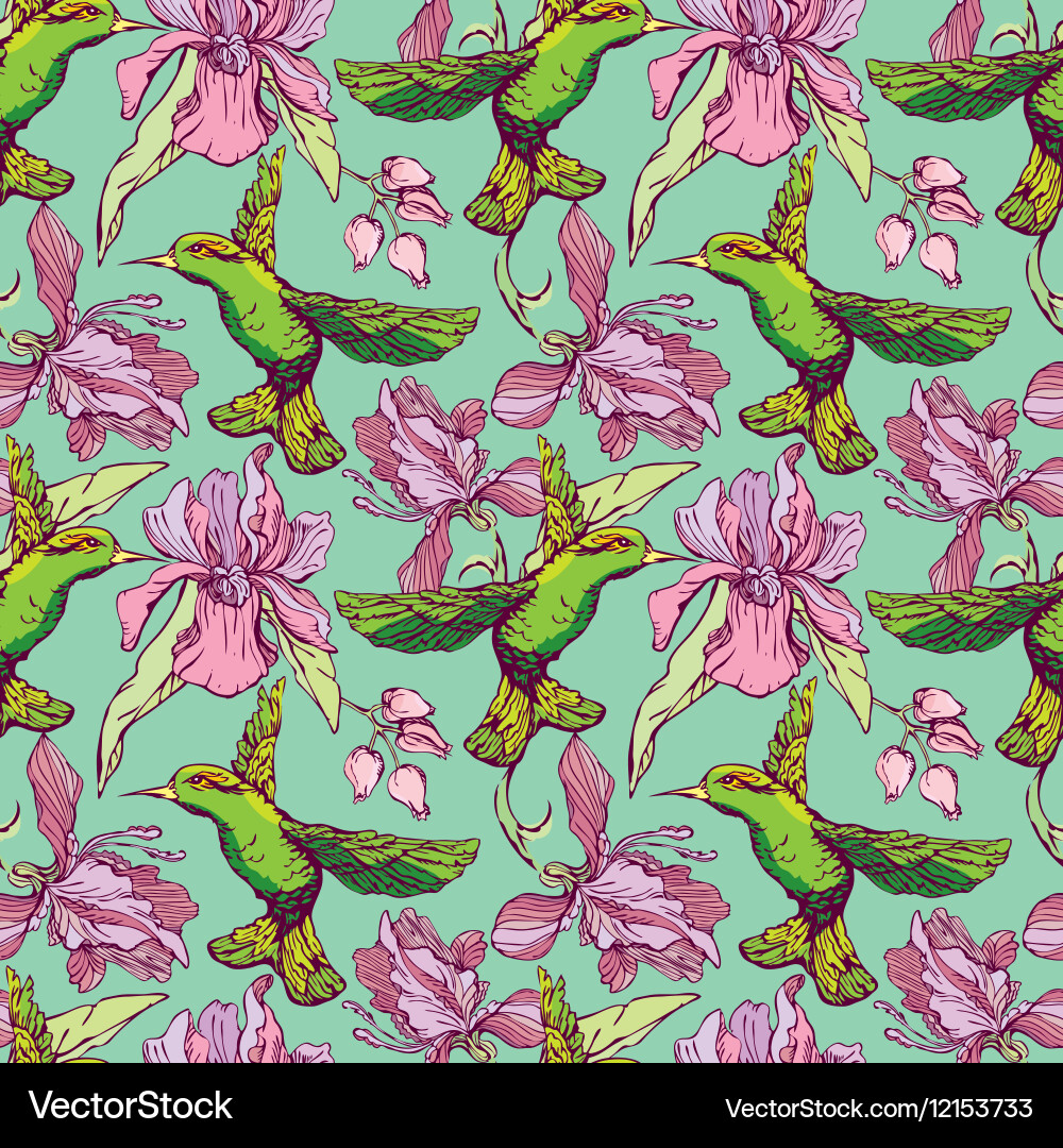 Seamless pattern colibri and flowers on green Vector Image