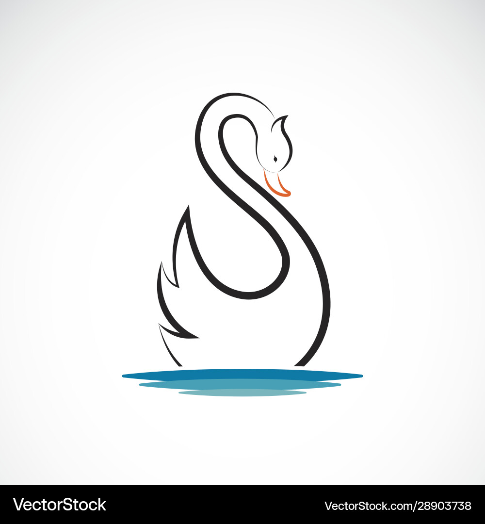 Swan design on white background wild animals Vector Image