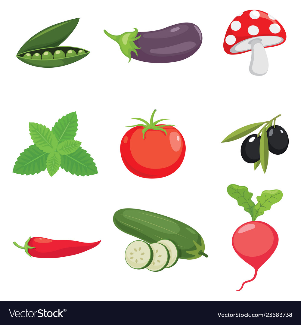 Vegetables Royalty Free Vector Image - VectorStock
