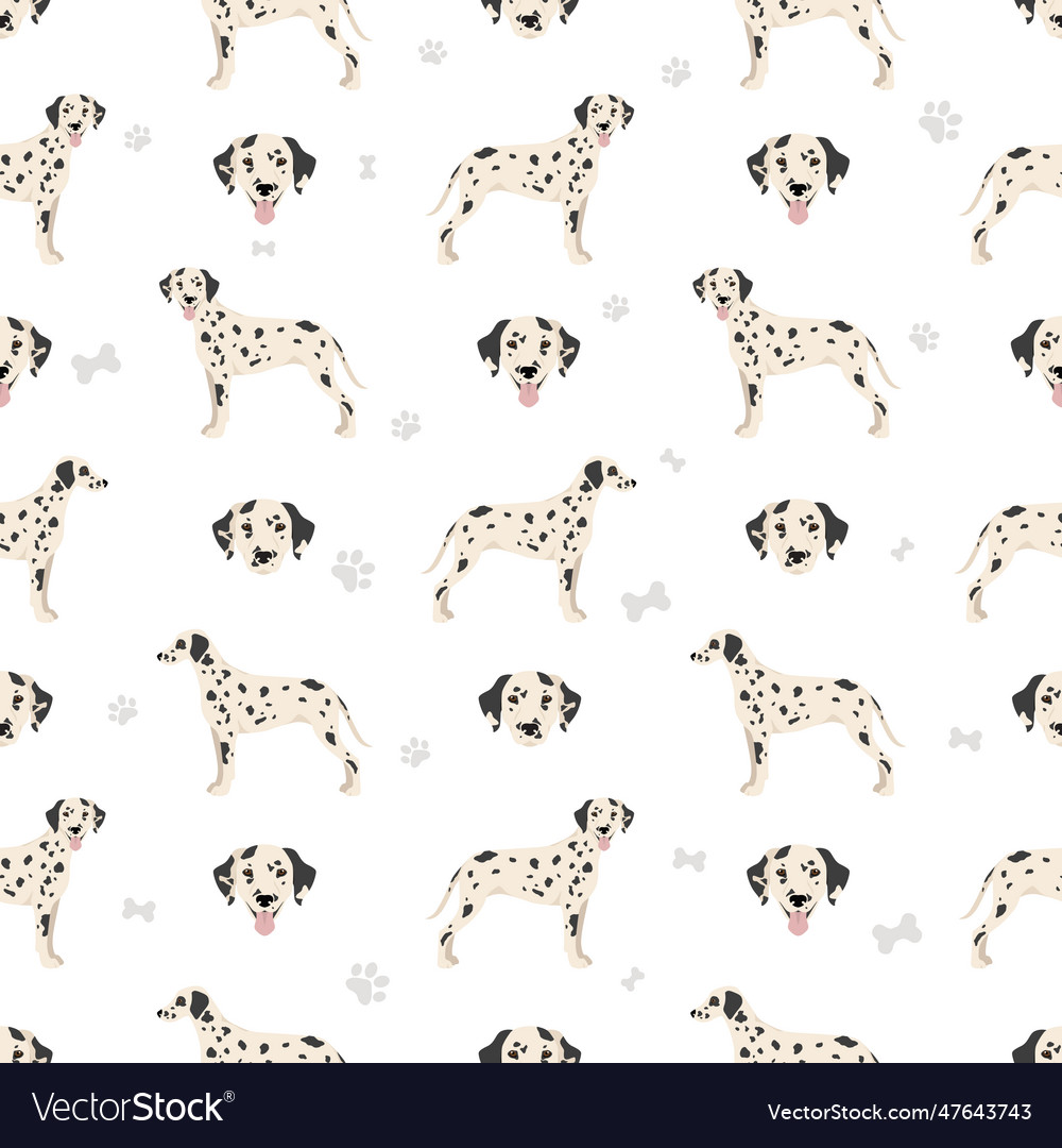 Dalmatian dogs seamless pattern different poses Vector Image