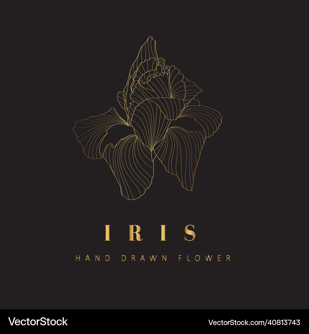 Iris flower signs or logo templates Royalty Free Vector