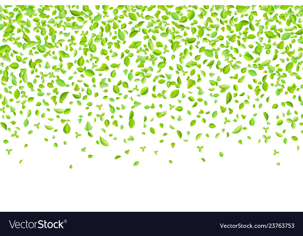 Fresh spring green leaves background for greeting Vector Image