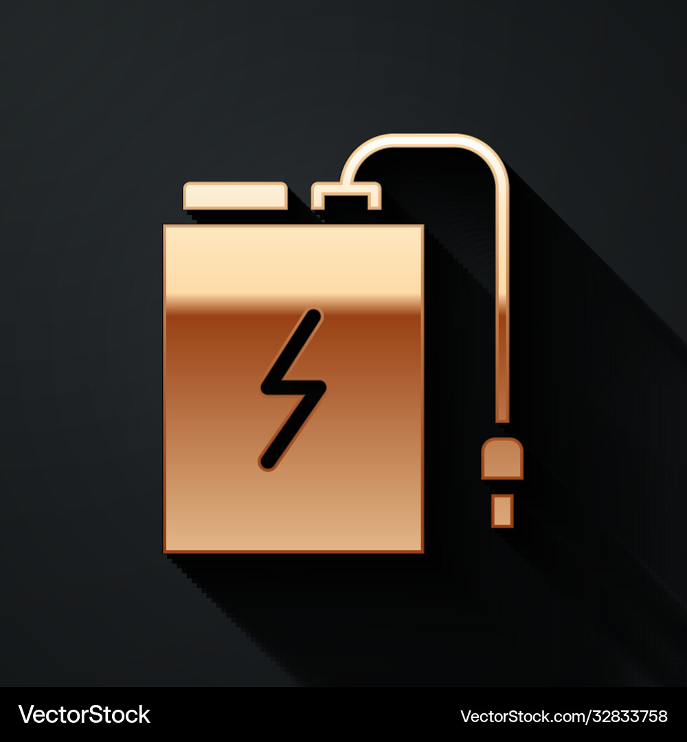 Gold power bank with different charge cable icon Vector Image