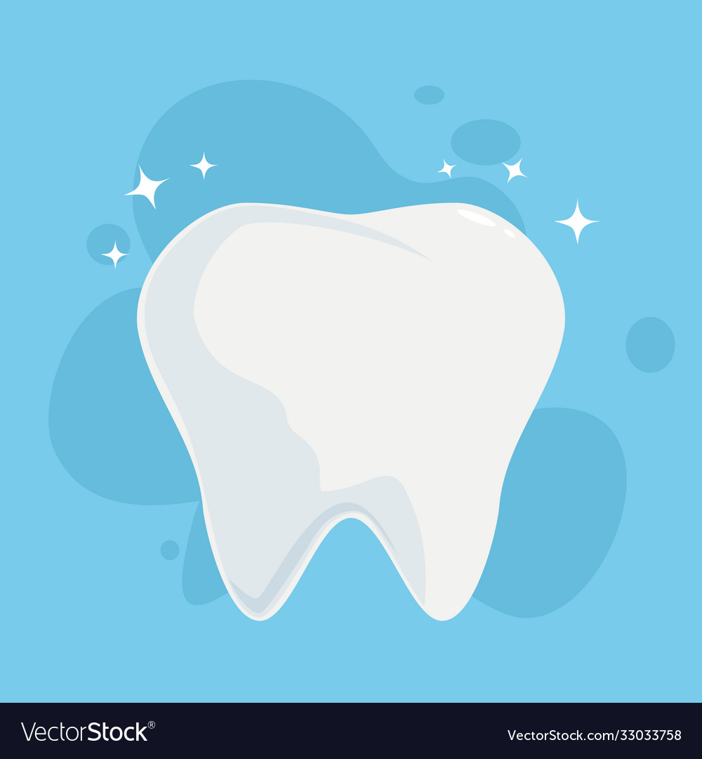 Healthy tooth Royalty Free Vector Image - VectorStock