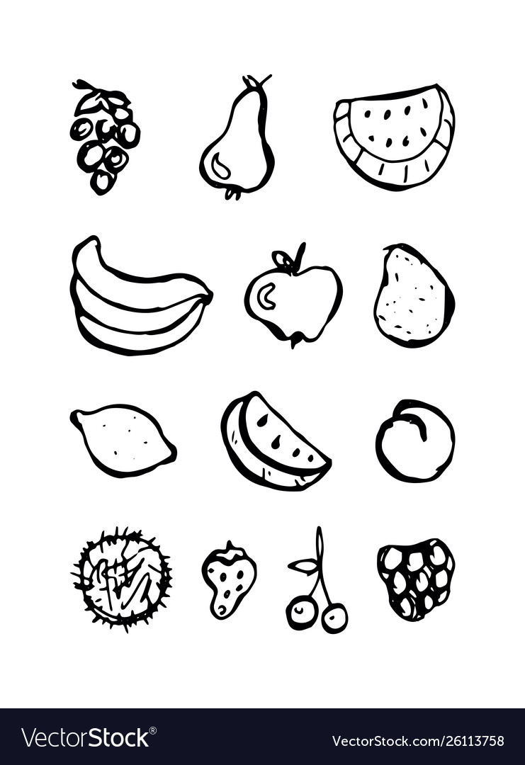 Set hand drawn doodle fruits black and white Vector Image