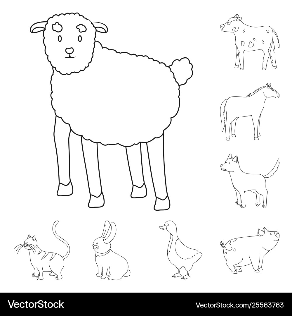 Homemade and countryside Royalty Free Vector Image