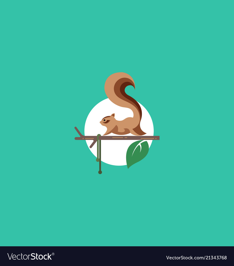 Squirrel Royalty Free Vector Image - VectorStock