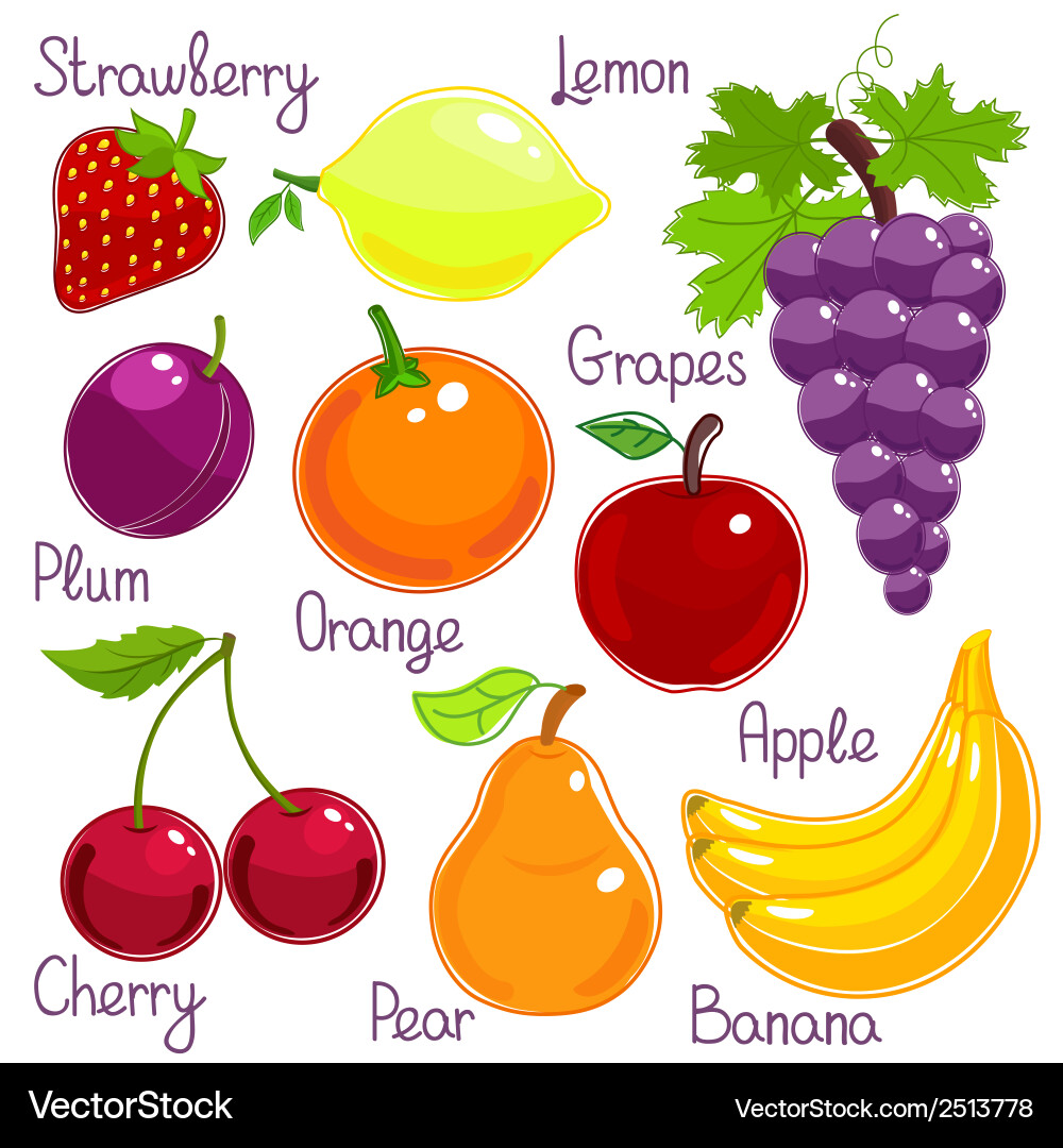 Selection colorful tropical fruit with labels Vector Image