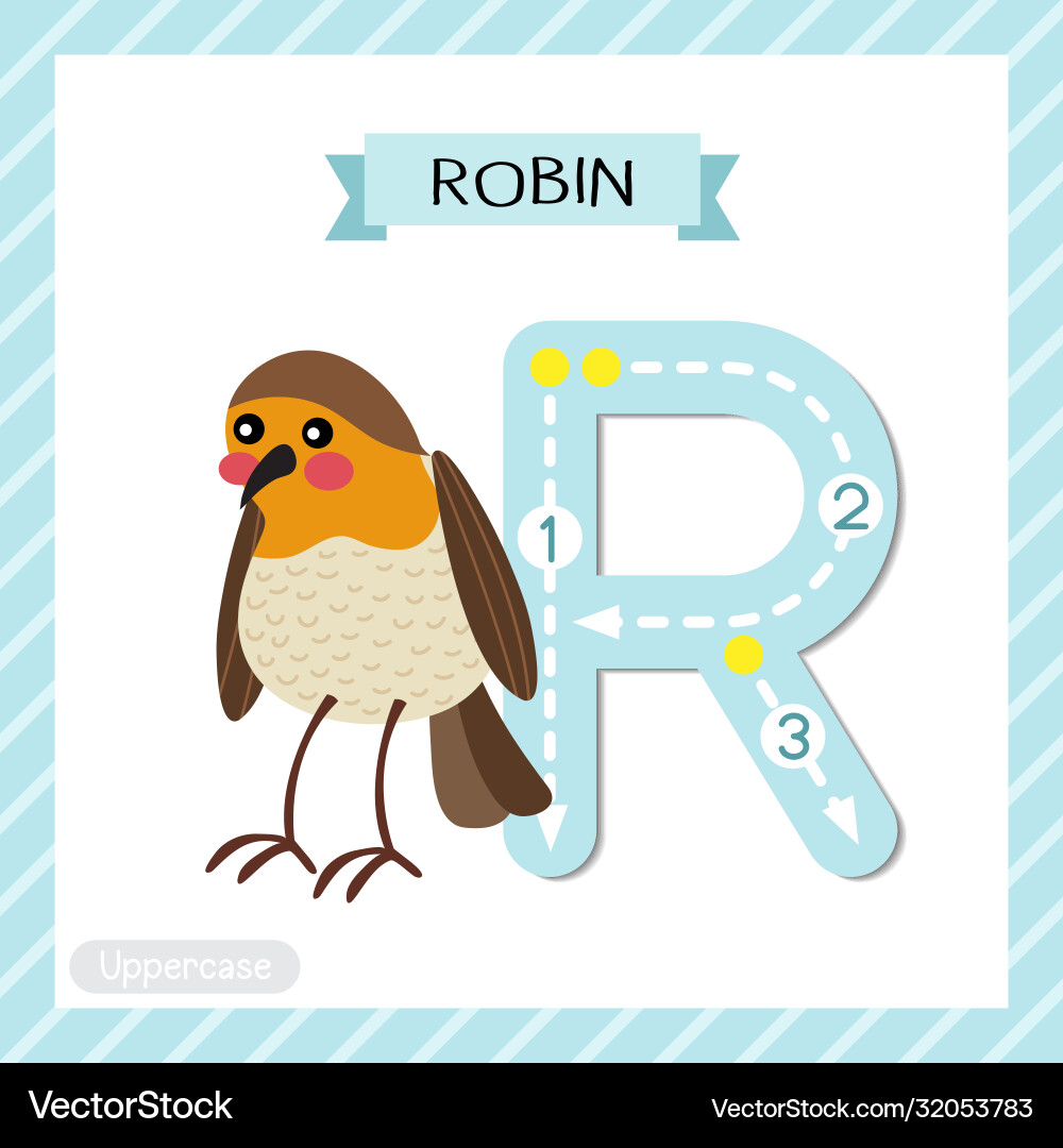 Letter r uppercase tracing standing robin bird Vector Image