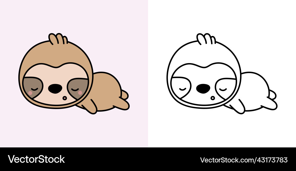 Sloth clipart for coloring page and multicolored Vector Image