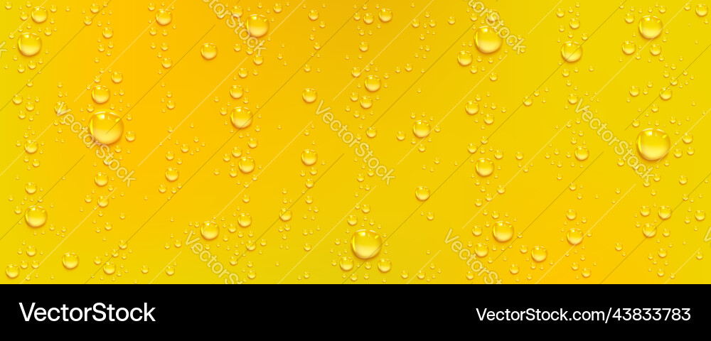 Water or beer condensation droplets background Vector Image
