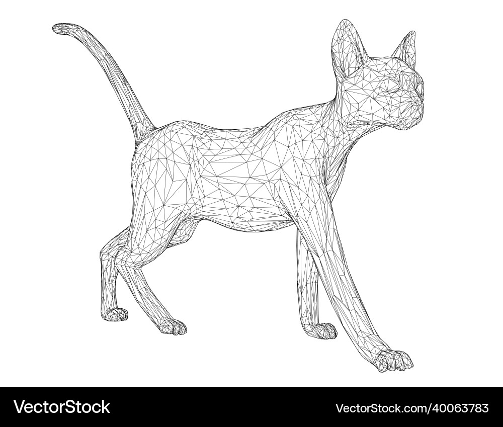 Wireframe of a walking cat from black lines Vector Image