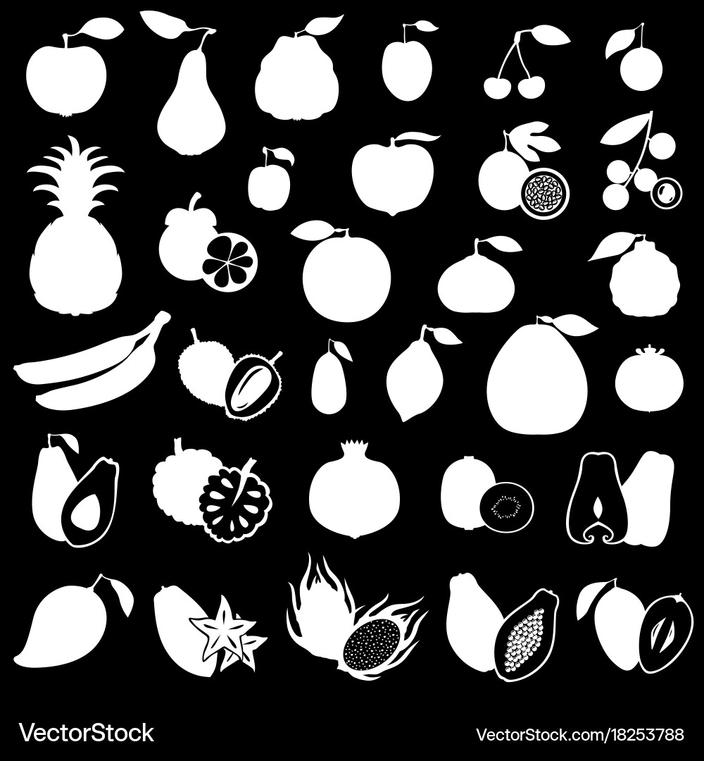 Fruits set image on black background Royalty Free Vector