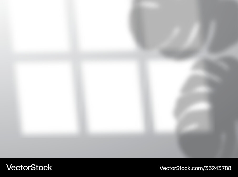 Overlay window shadow tropic leaves mockup plant Vector Image