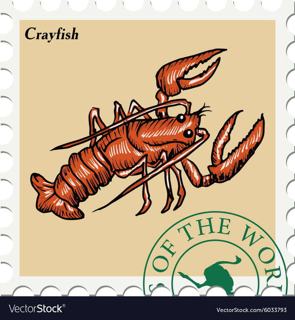 Crayfish Royalty Free Vector Image - VectorStock