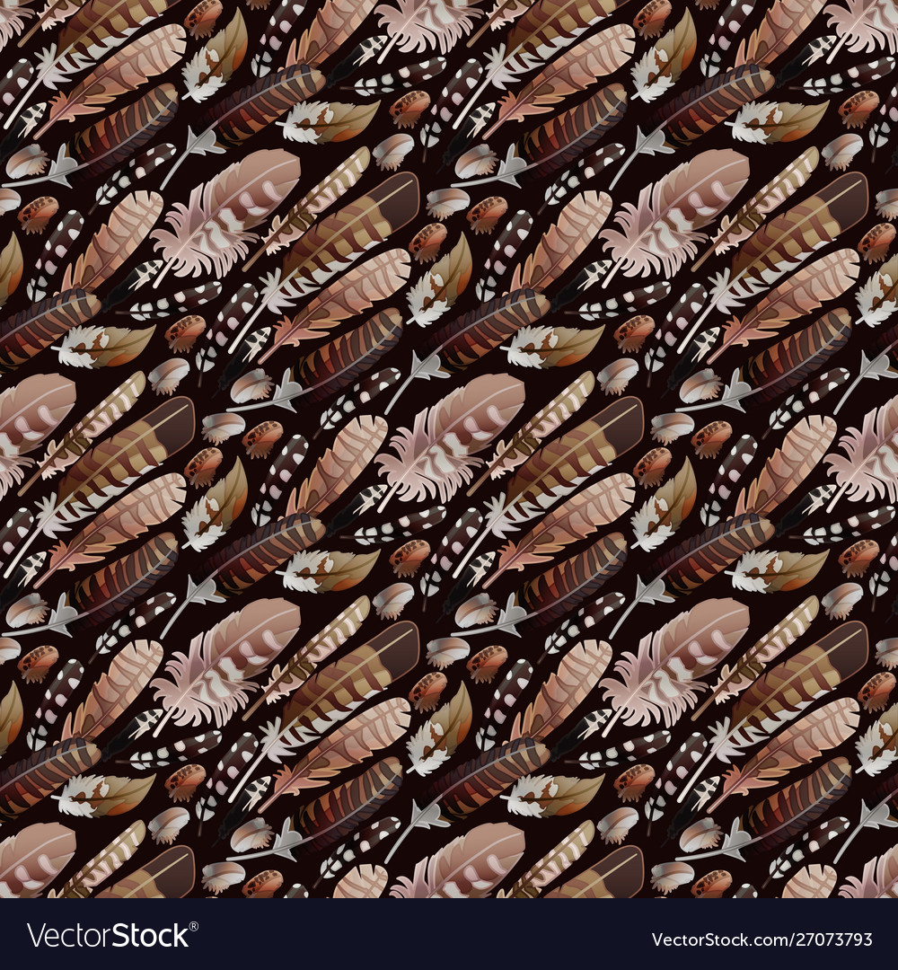 Feather seamless pattern Royalty Free Vector Image