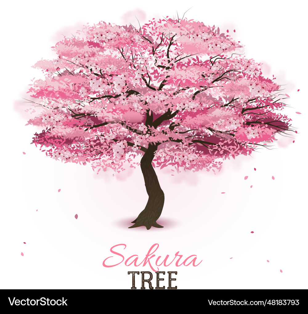 Realistic sakura tree Royalty Free Vector Image