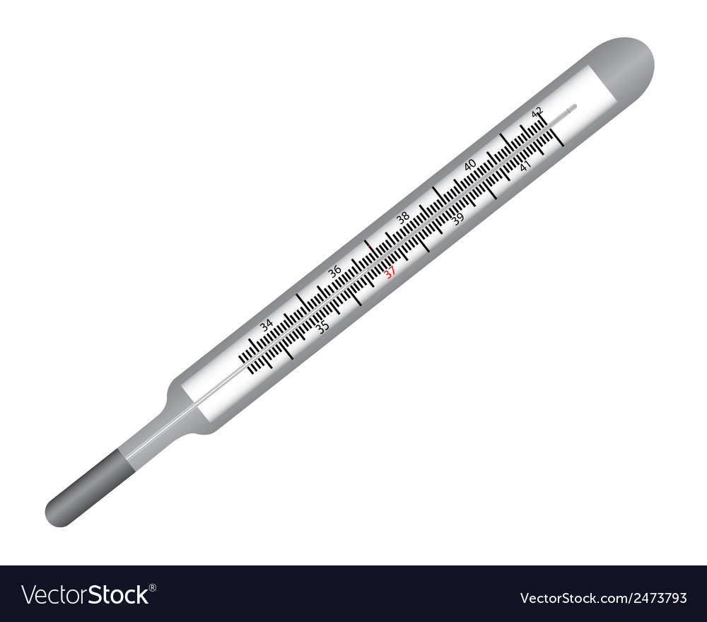 Thermometer Royalty Free Vector Image - VectorStock