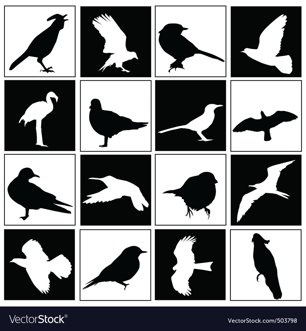 Bird set Royalty Free Vector Image - VectorStock