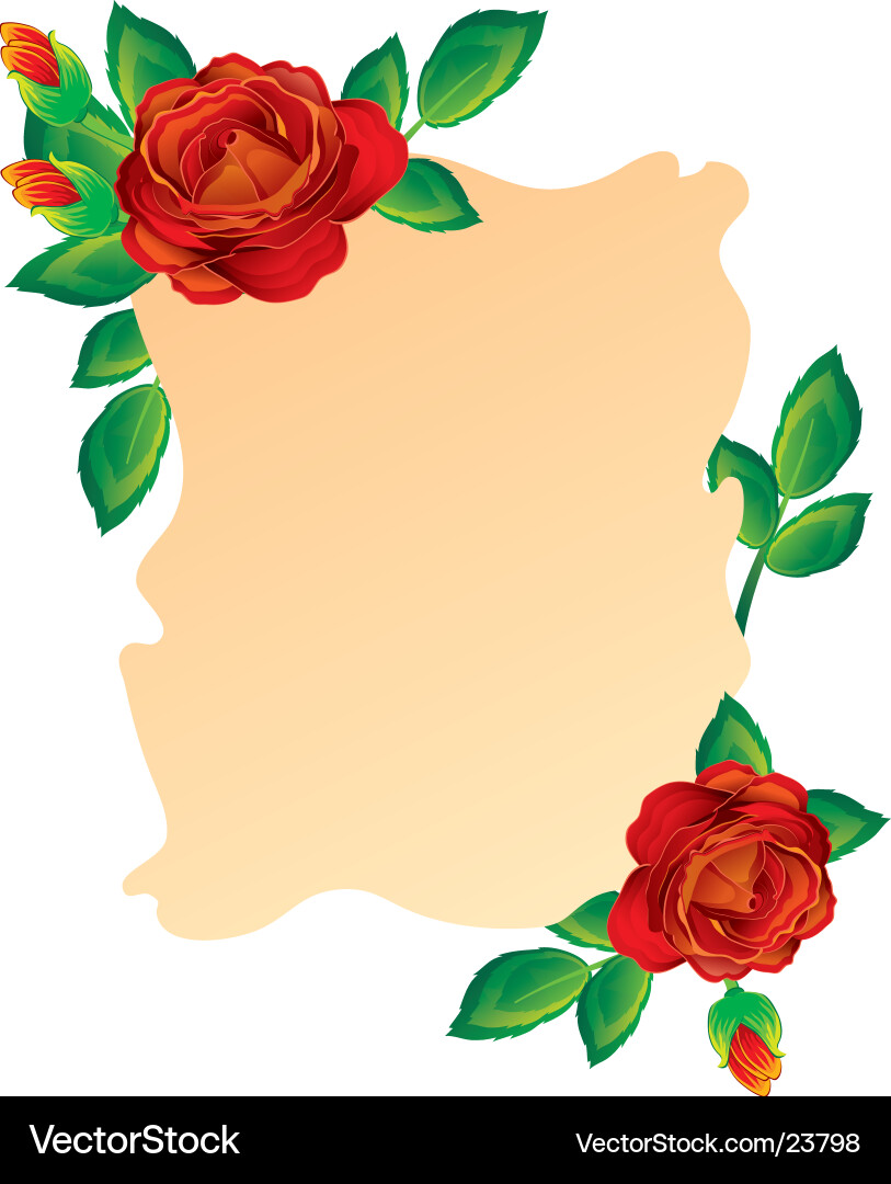 Roses Royalty Free Vector Image - VectorStock