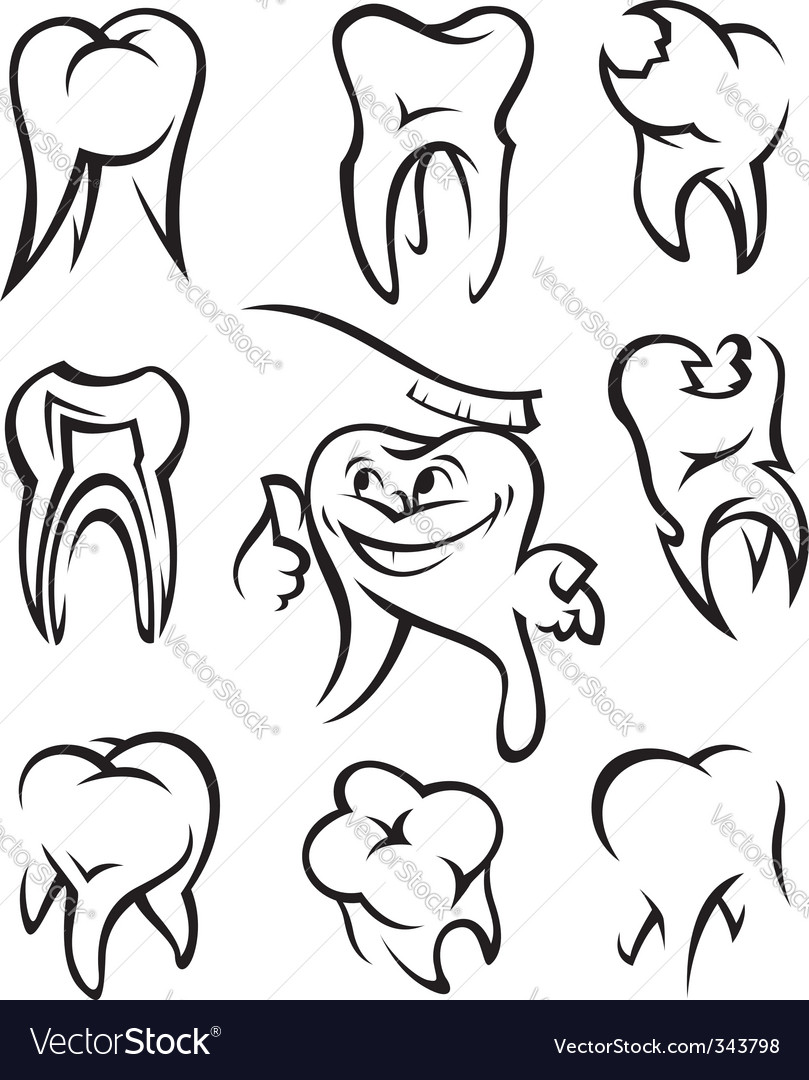 Teeth Royalty Free Vector Image - VectorStock