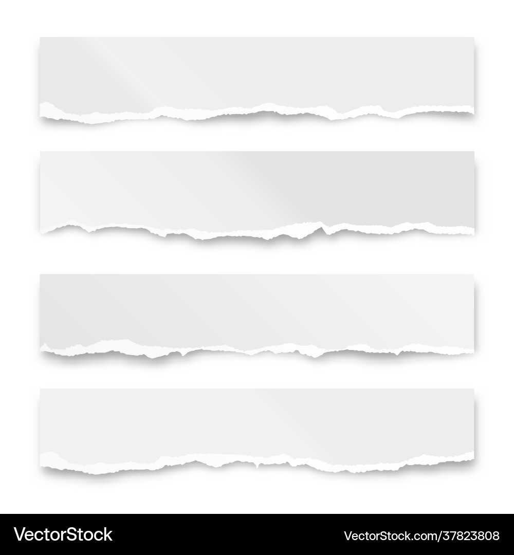 Ripped paper strips isolated on white background Vector Image