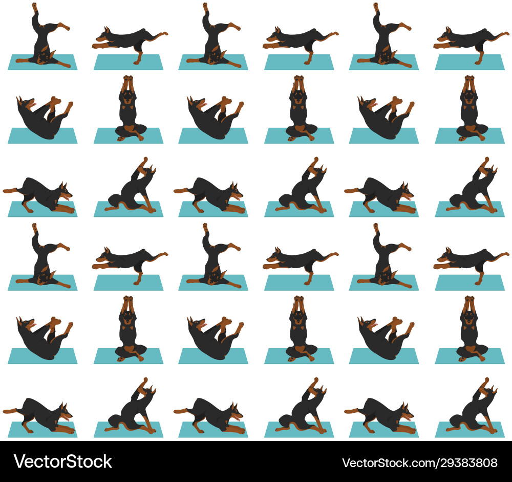 Yoga dogs poses and exercises seamless pattern Vector Image