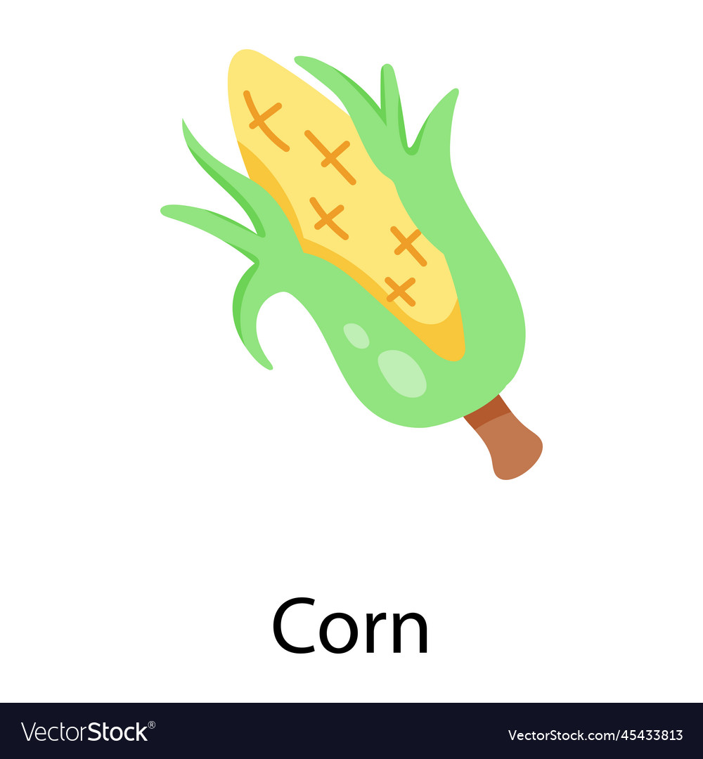 Corn Royalty Free Vector Image - VectorStock