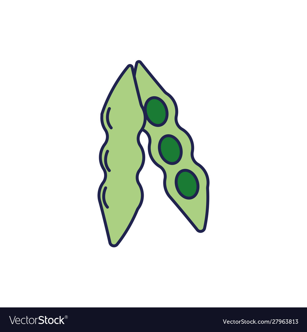 Fresh beans vegetable healthy food icon Royalty Free Vector