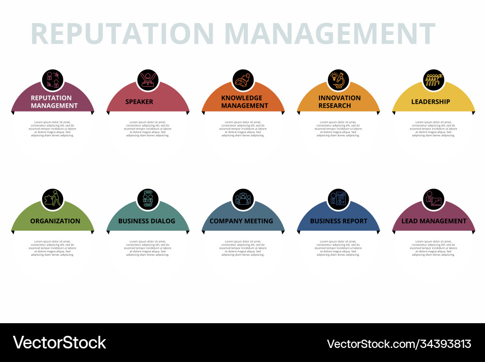 Infographic reputation management template icons Vector Image