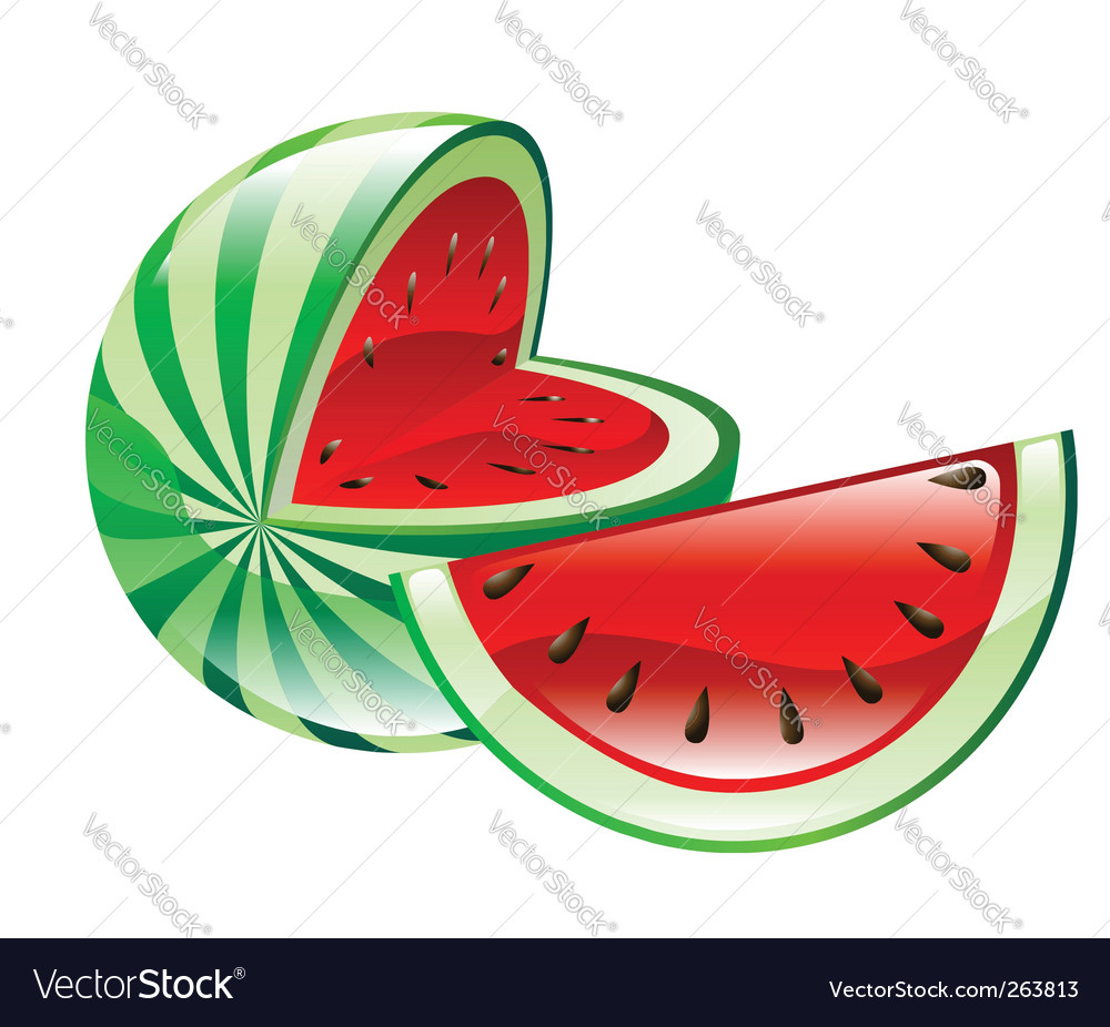 Watermelon Royalty Free Vector Image - VectorStock