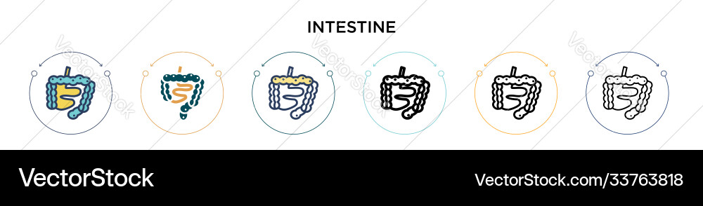 Intestine icon in filled thin line outline Vector Image